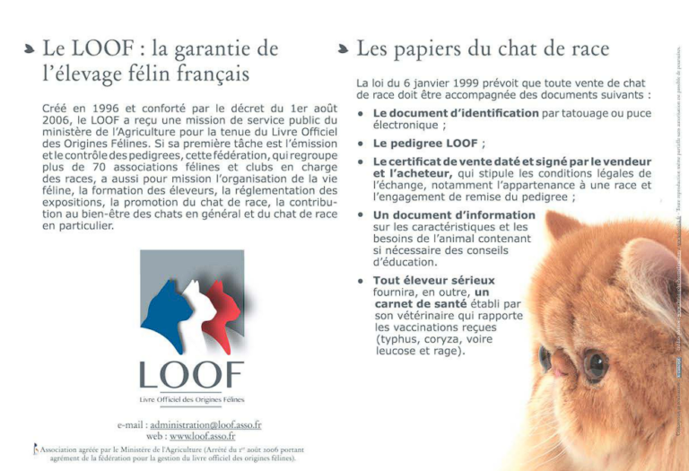 L'organisation du loof: comment enregistrer son chaton LOOF